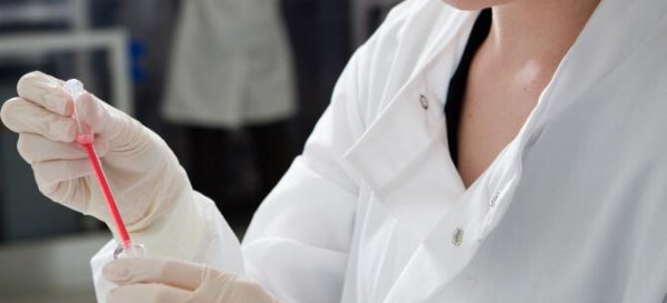 ingenieria-tisular - Cells4Life